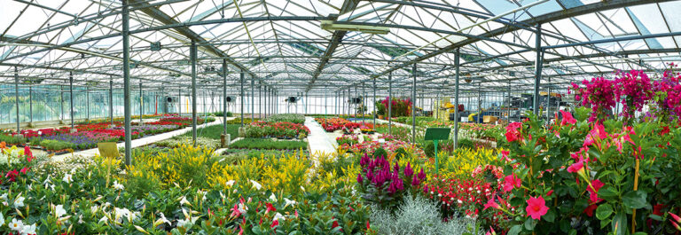 Gartencenter Oosterik - NL 2026